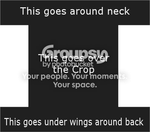 crop bra? | BackYard Chickens - Learn How to Raise Chickens