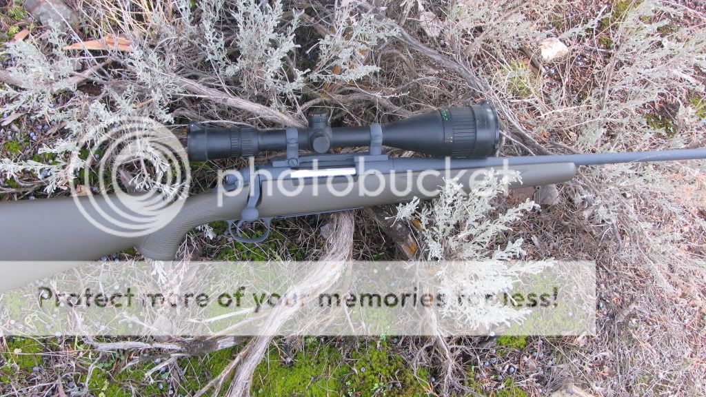 Post Duracoat greys? - AR15.COM