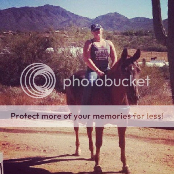 So I'm back and 2013 with the boys. | The Horse Forum