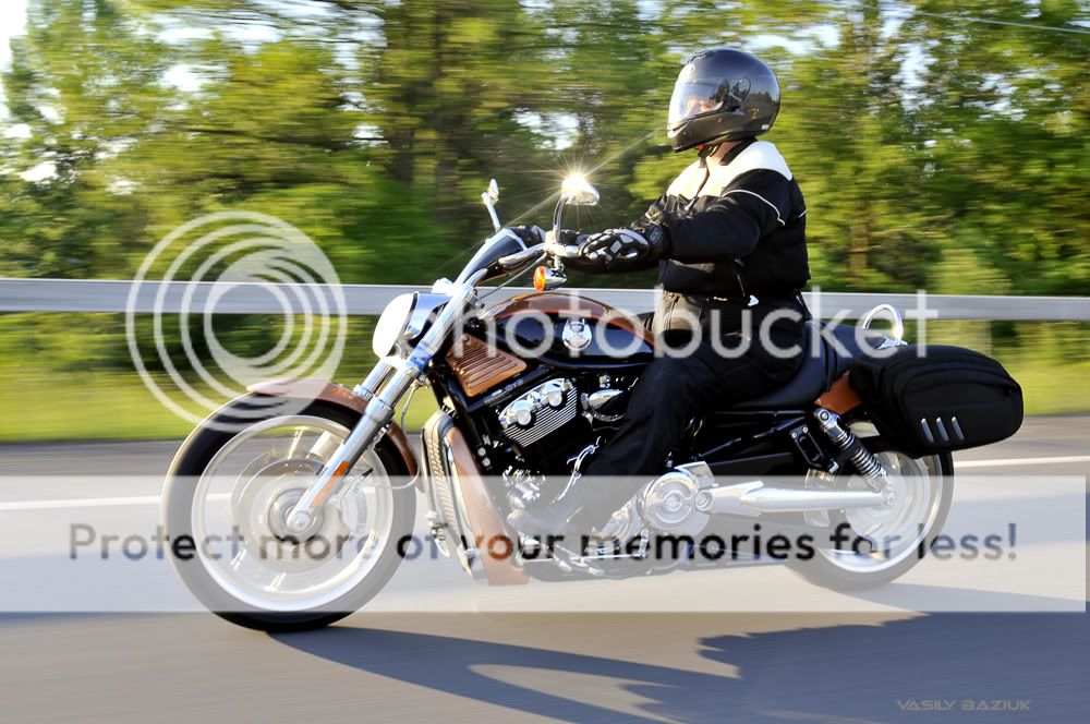 Sad news - DiamonLil. RIP | Harley Davidson Forums